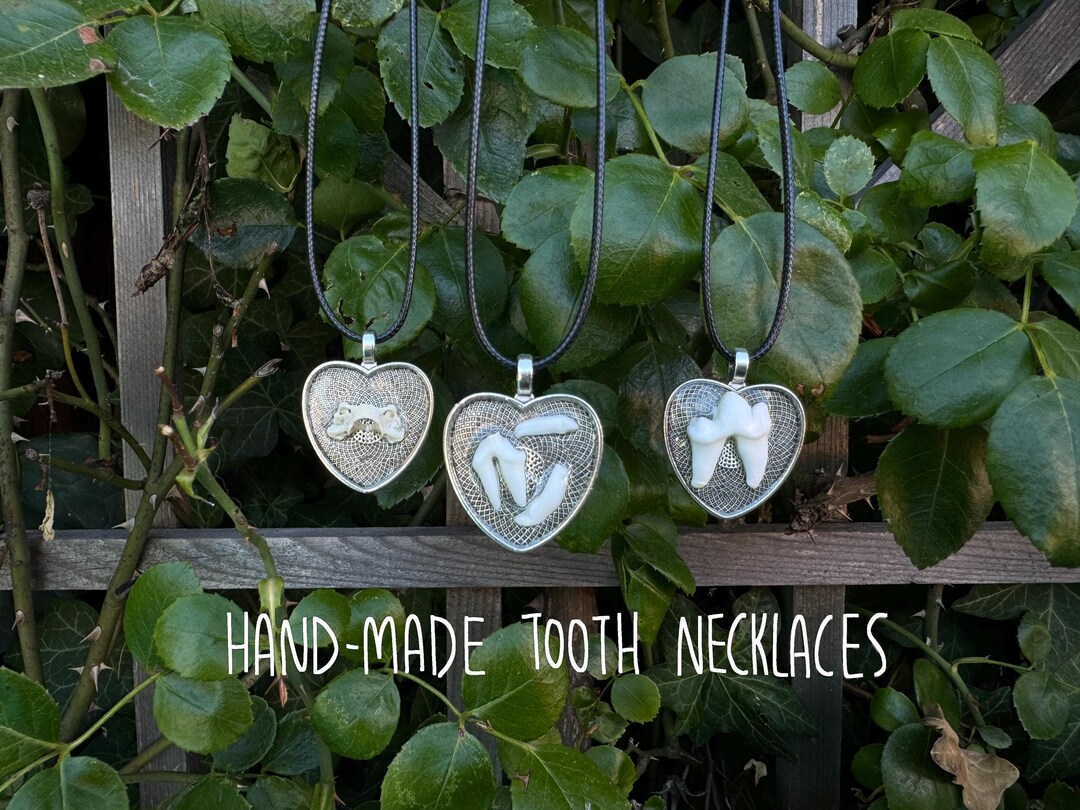 Heart-shaped Tooth Charm Necklaces | Ethical Oddity, Vulture Culture ...