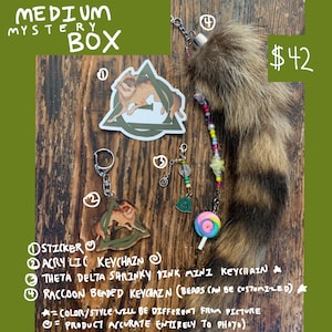 Therian Gear/therian Pride Mystery Box - Etsy