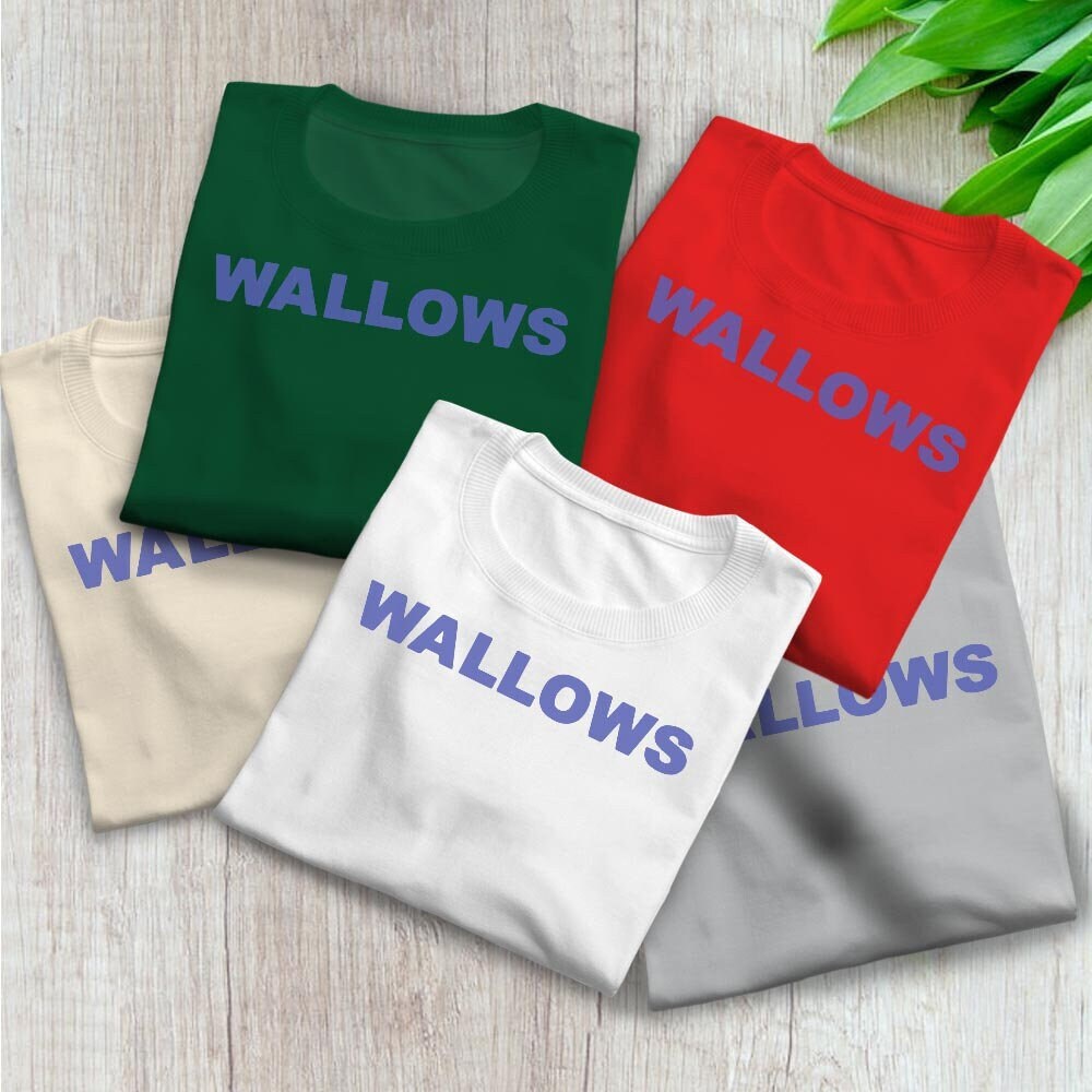 Wallows Shirt, Wallows Album, Wallows Band Shirt, Wallows Mar ...