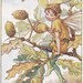 C. 1930 FLOWER FAIRY Print - the Acorn Fairy - Flower Fairy Wall Art ...