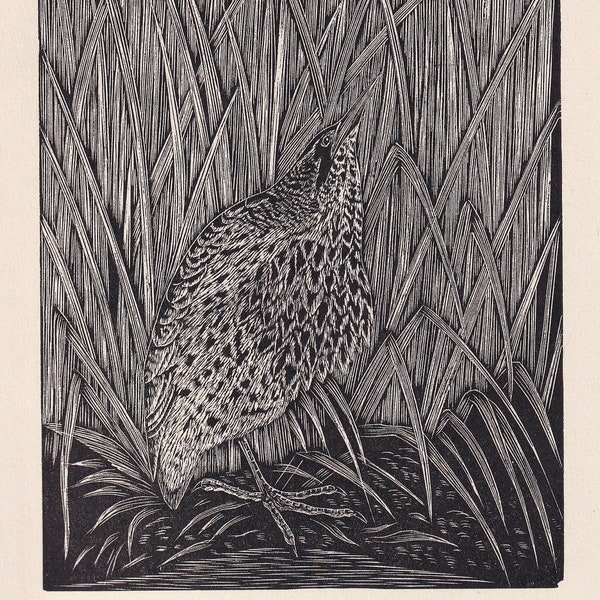 Bird Engraving - Etsy