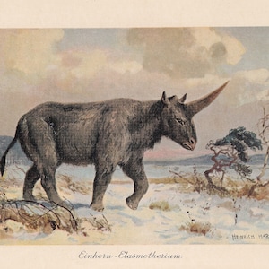 1902 SIBERIAN UNICORN Print - Antique Extinct Animal Print - Paleoart ...