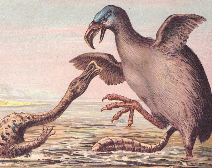1902 BRONTORNIS Print - Extinct Giant Bird - Paleoart - Prehistoric ...