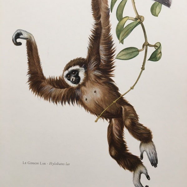 Gibbon - Etsy