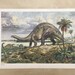 1960 BRONTOSAURUS DINOSAUR Print - Prehistoric Animals Print - Paleoart ...