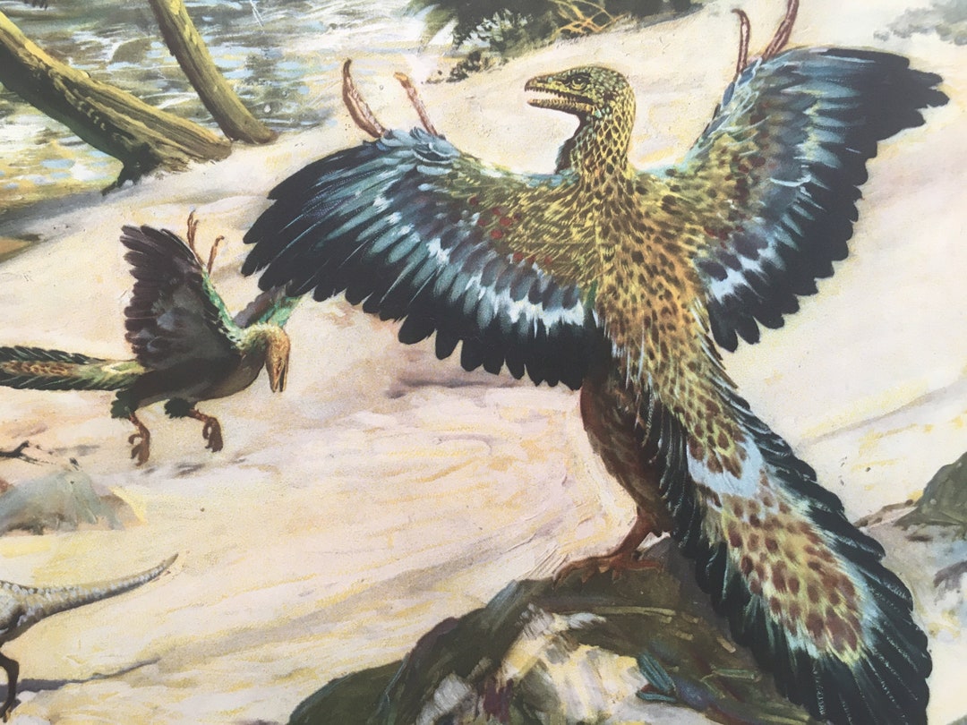 1960 ARCHAEOPTERYX DINOSAUR Print Prehistoric Animals Print Paleoart ...