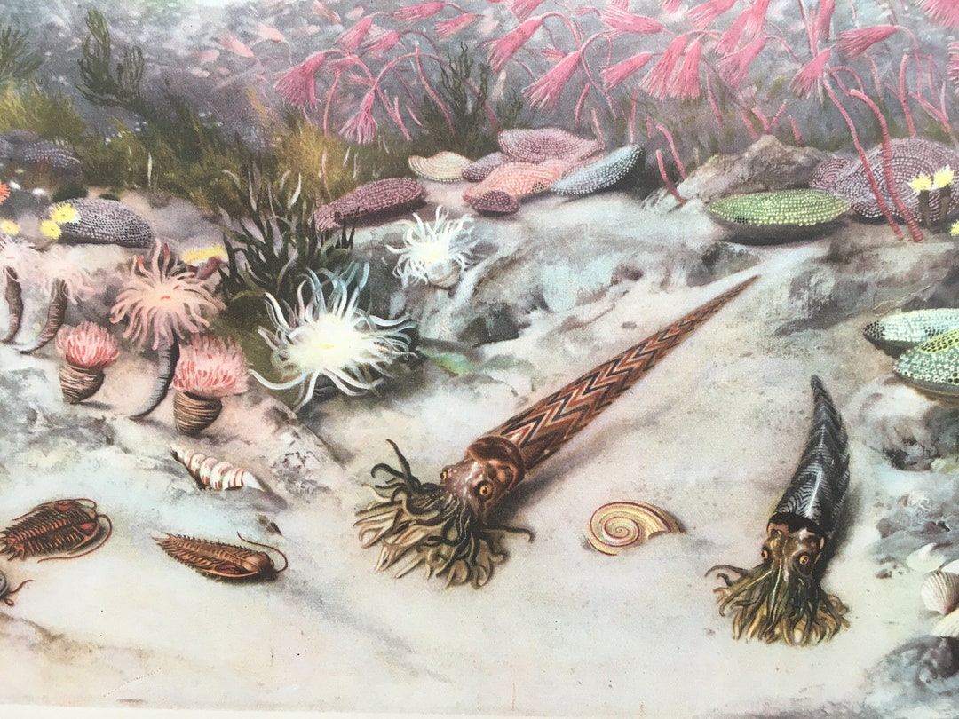 1960 SILURIAN SEA Print - Prehistoric Animals Print - Paleoart ...