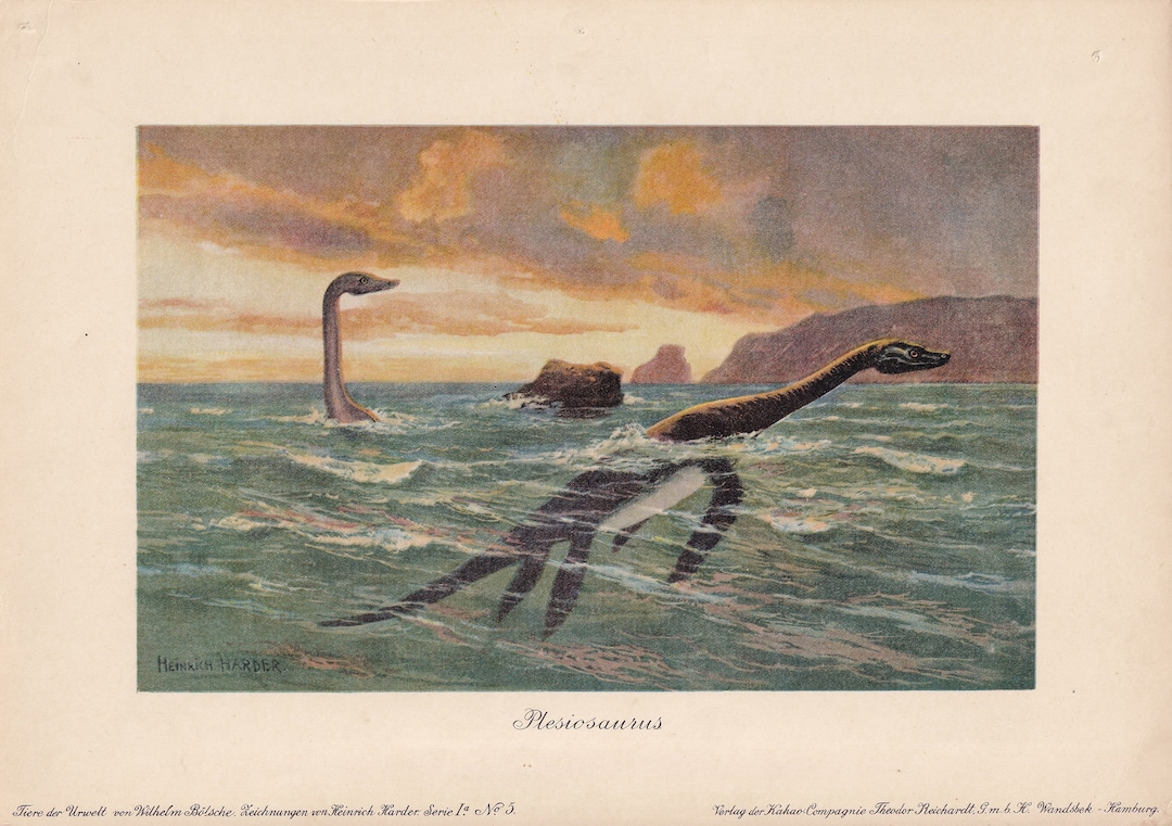 1902 PLESIOSAURUS Print - Antique Dinosaur Print - Dinosaur Wall Art ...
