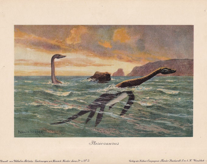 1902 PLESIOSAURUS Print - Antique Dinosaur Print - Dinosaur Wall Art ...