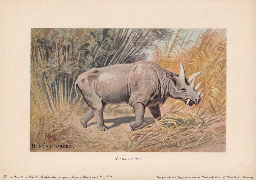 1902 UINTATHERIUM Print - Antique Extinct Animal Print - Paleoart ...