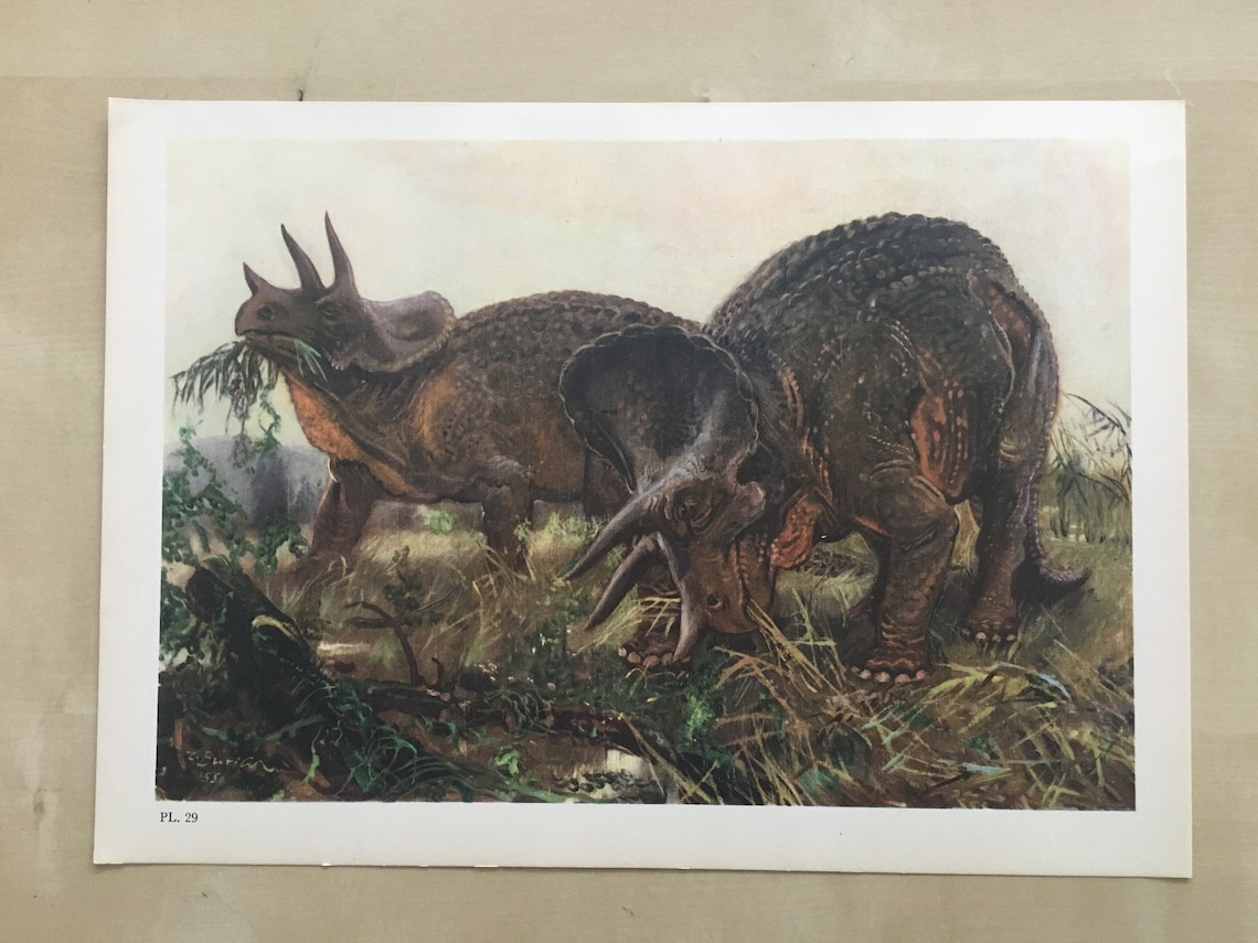 1960 TRICERATOPS DINOSAUR Print - Prehistoric Animals Print - Paleoart ...