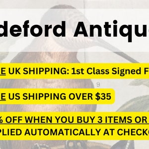 1960s BITTER POISONPIE MUSHROOM Print - Mushroom Wall Art - Cottagecore ...