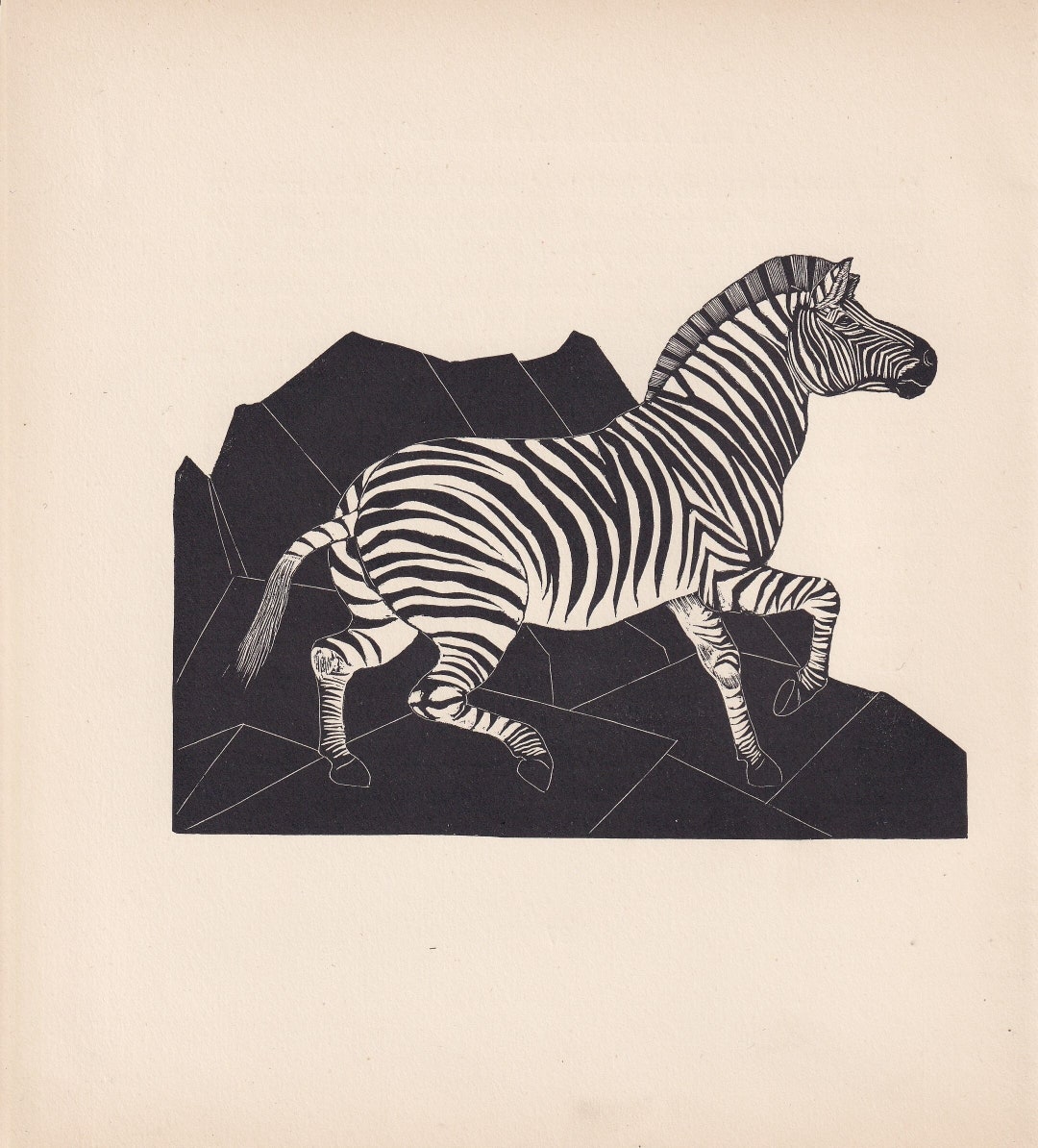 1929 ZEBRA Print Wood Engraving - Zebra Wall Art - Zoology Print ...