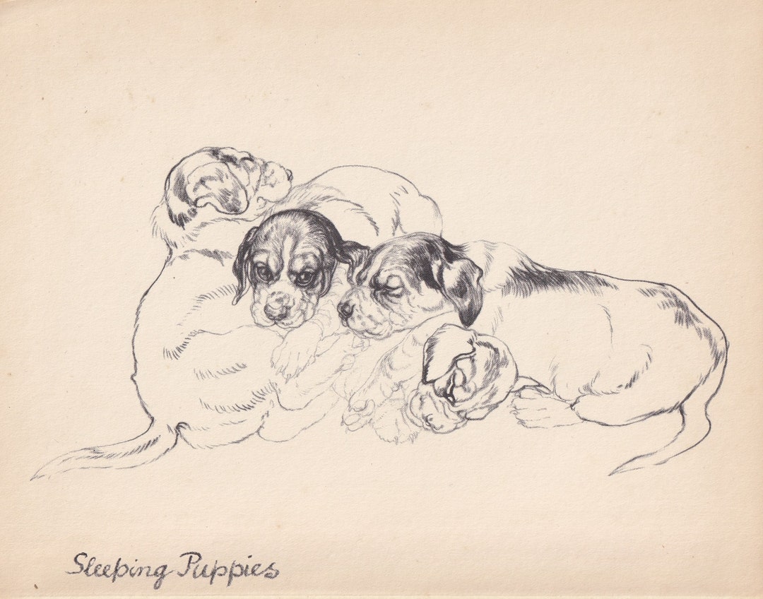 1938 HOUND DOG PUPPIES Print - Original Antique Dog Print - Vere Temple ...