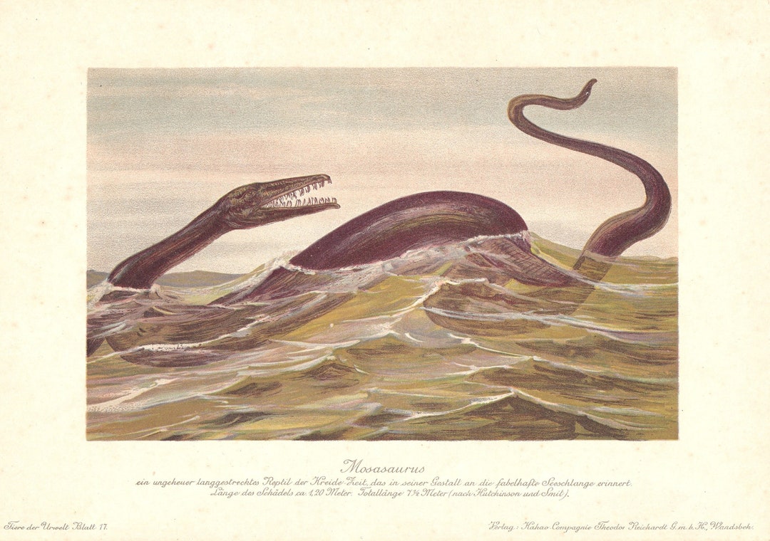 Rare 1902 MOSASAURUS DINOSAUR Print Antique Dinosaur Print Paleoart ...