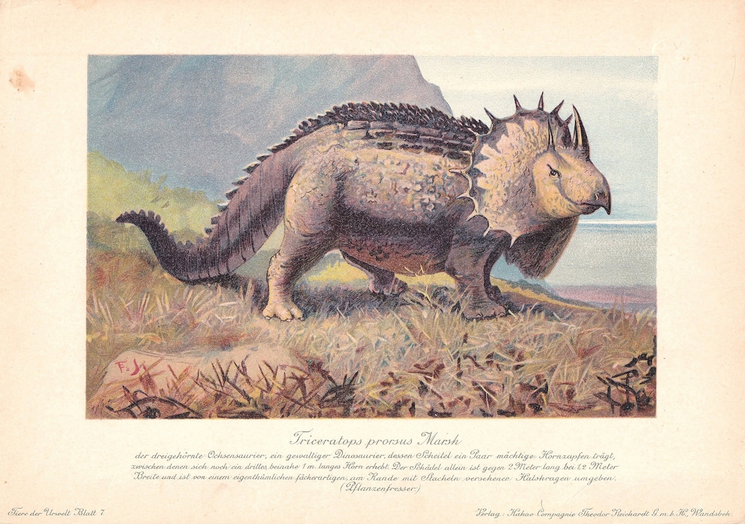 1902 TRICERATOPS DINOSAUR Print - Antique Dinosaur Print - Paleoart ...