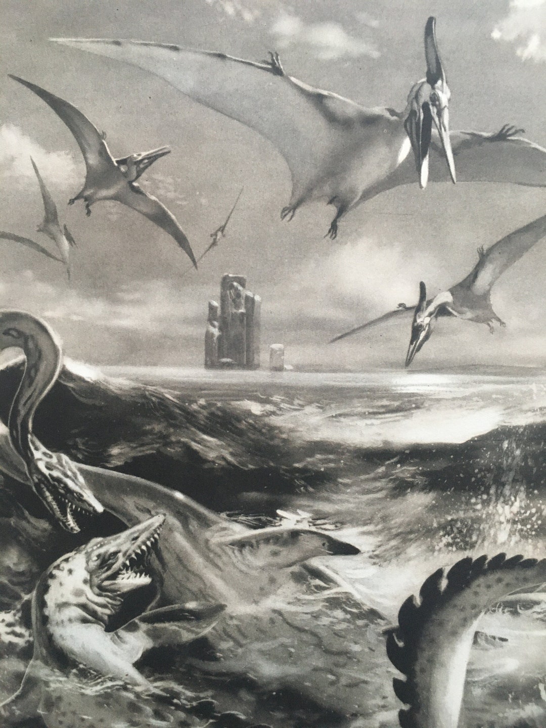 1960 ELASMOSAURUS & PTERODACTYL Print - Prehistoric Animals Print ...