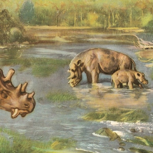 1960 UINTATHERIUM Print - Prehistoric Animals Print - Paleoart - Cave ...