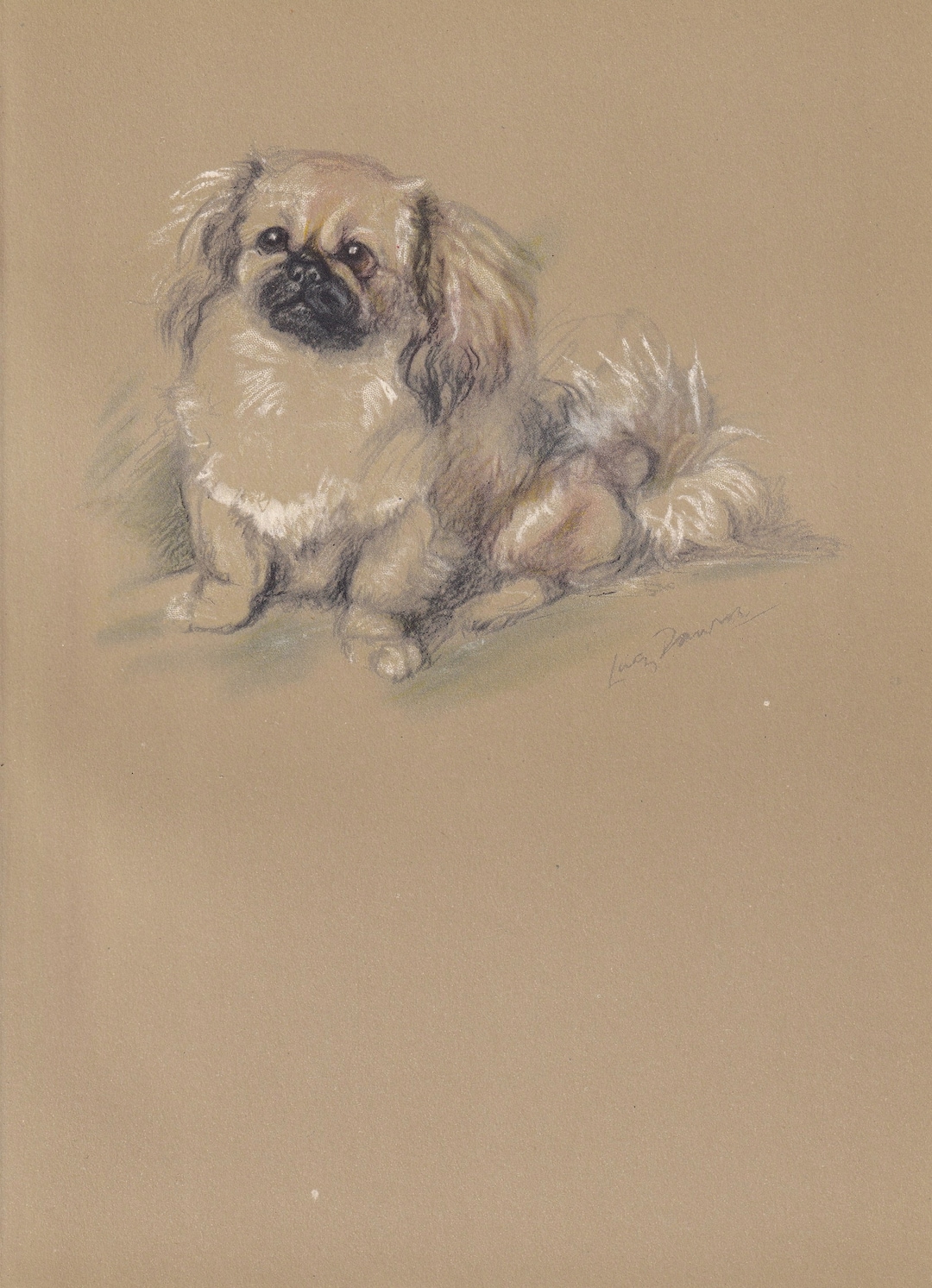 1946 PEKINGESE DOG Print - Lucy Dawson - Pekingese Art - Original ...