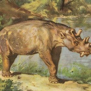 1960 UINTATHERIUM Print - Prehistoric Animals Print - Paleoart - Cave ...