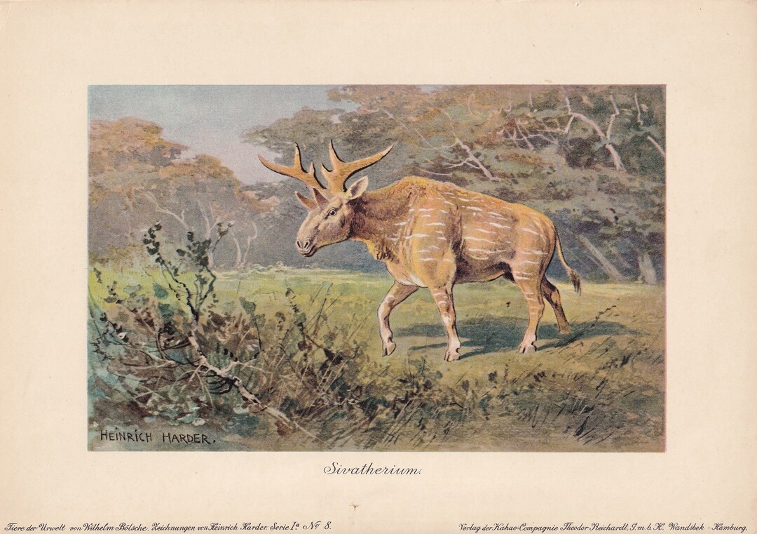 Original 1902 SIVATHERIUM Print - Antique Extinct Animal Print ...