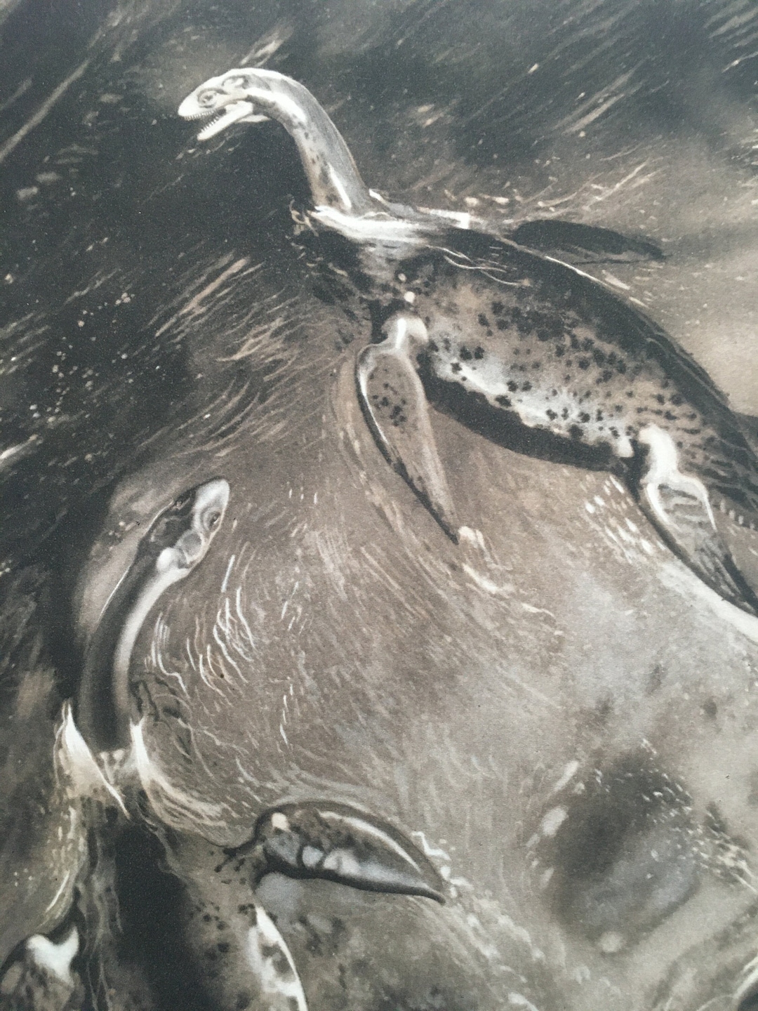 1960 CRYPTOCLIDUS (PLESIOSAUR) Print - Prehistoric Animals Print - Paleoart - Dinosaur ...