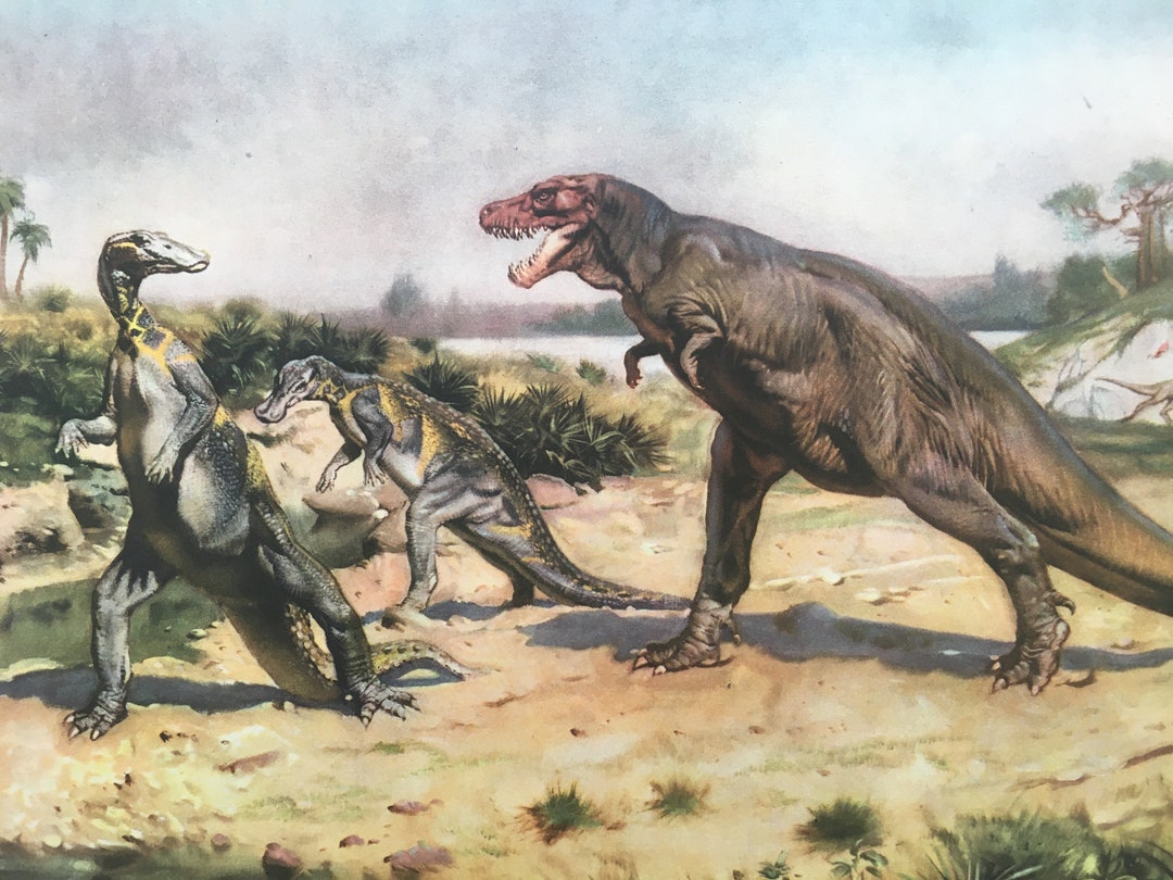 1960 TYRANNOSAURUS REX DINOSAUR Print - Prehistoric Animals Print ...