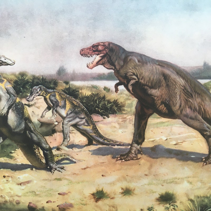 T Rex Paleoart - Etsy