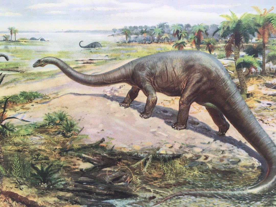 1960 DIPLODOCUS DINOSAUR Print Prehistoric Animals Print Paleoart ...