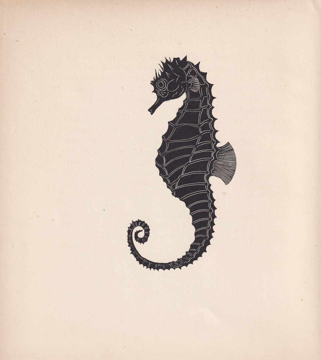 1929 SEAHORSE Print Wood Engraving - Seahorse Wall Art - Sea Life Print ...