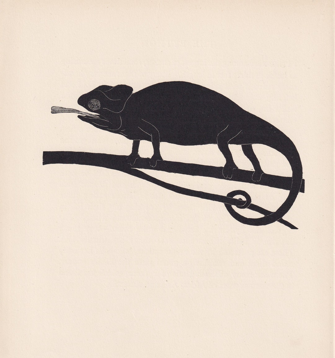 1929 CHAMELEON Print Wood Engraving Chameleon Wall Art Lizard Engraving ...