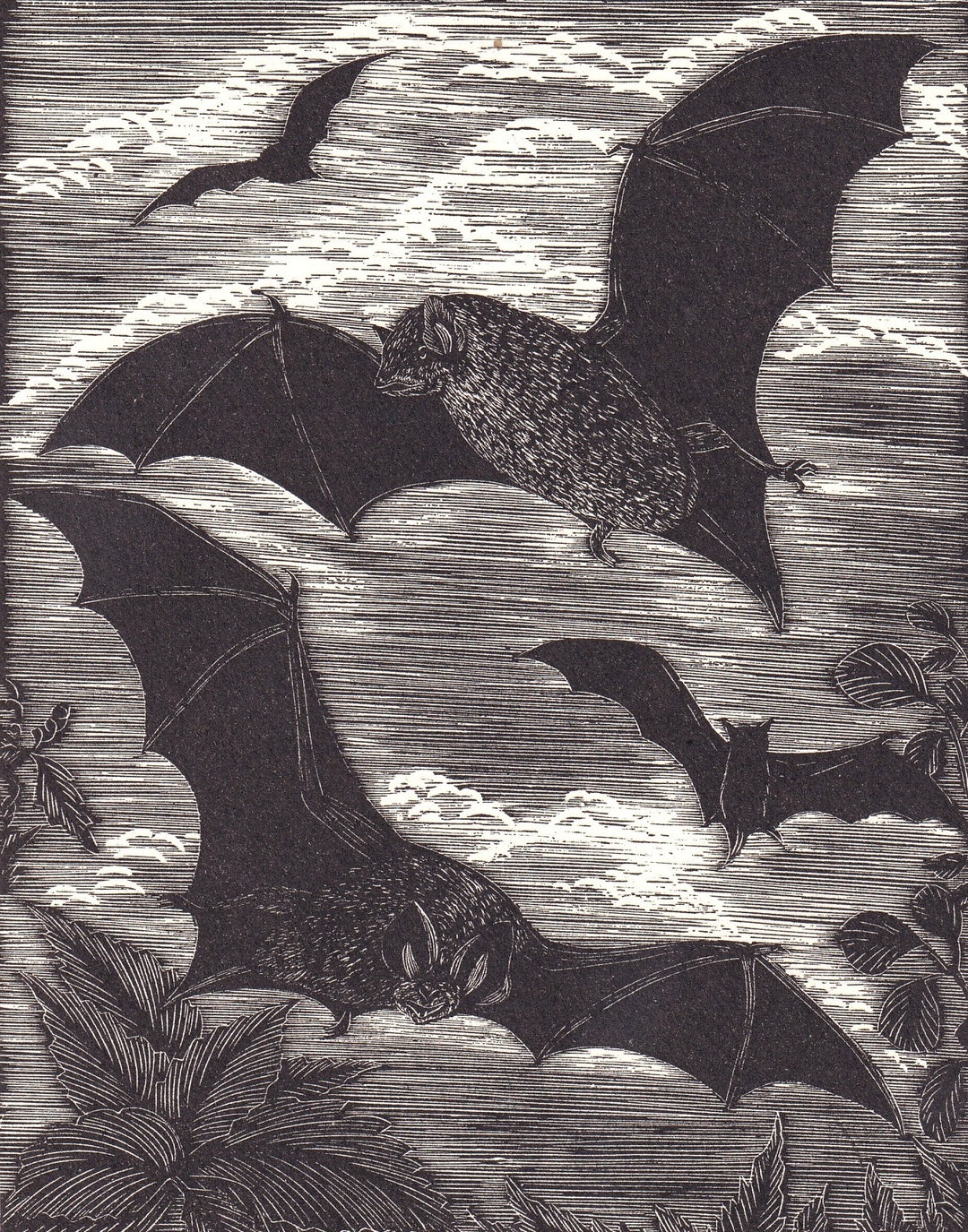 1931 BATS Print Wood Engraving Bat Wall Art Zoology Print Antique ...