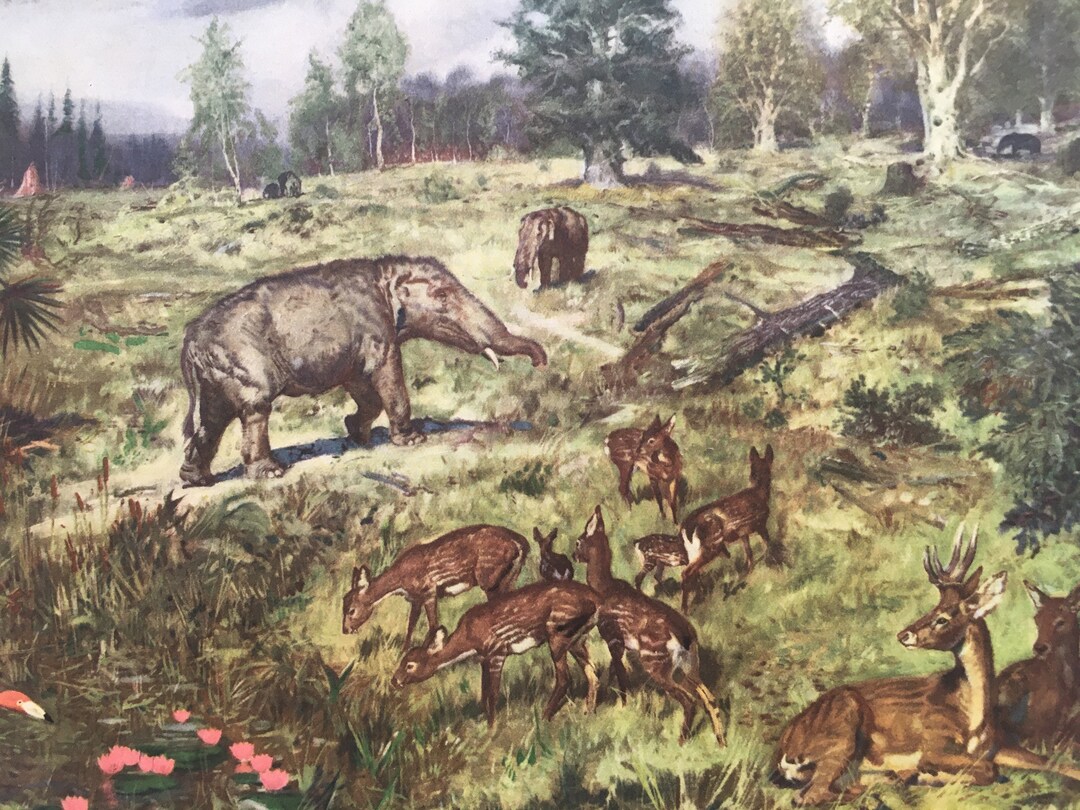1960 MIOCENE EPOCH Print Prehistoric Animals Print - Etsy