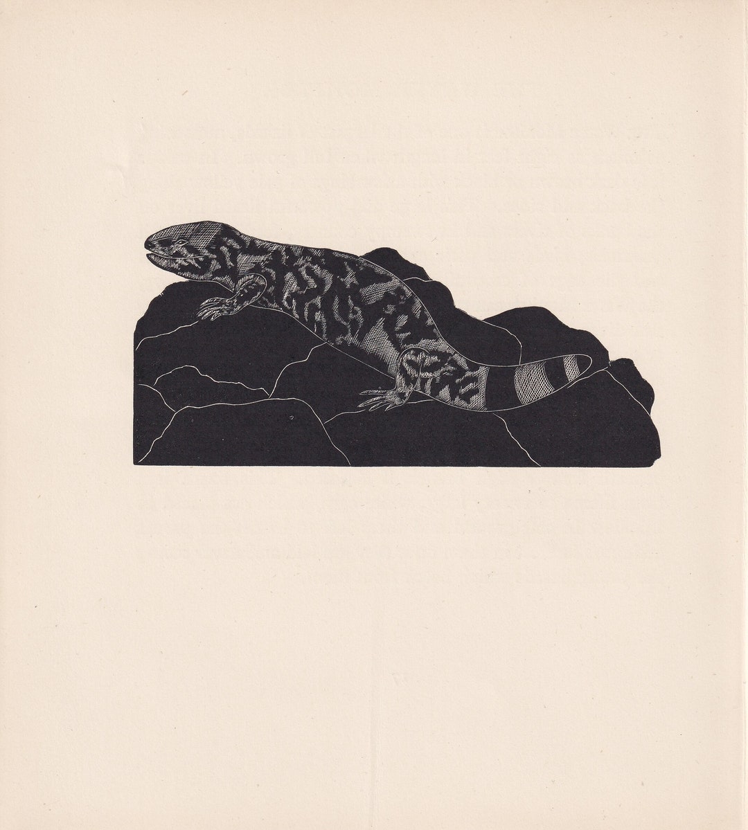 1929 GILA MONSTER Print Wood Engraving - Lizard Wall Art - Lizard Wood ...