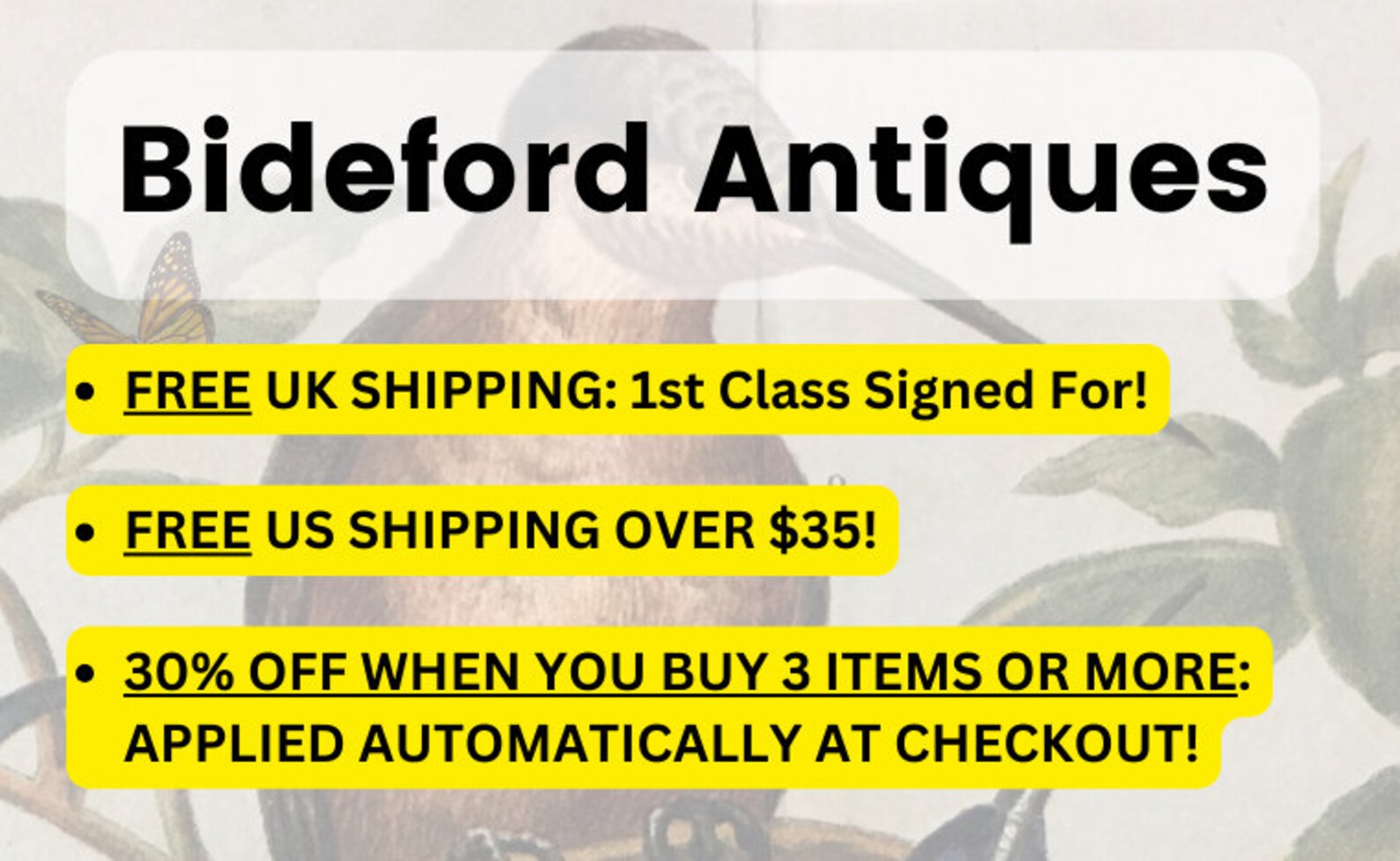 1963 COMMON WINDMILL BUTTERFLY Print Vintage Butterfly Art - Etsy