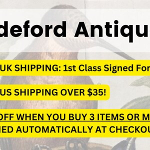 1963 COMMON WINDMILL BUTTERFLY Print - Vintage Butterfly Art - Insect ...