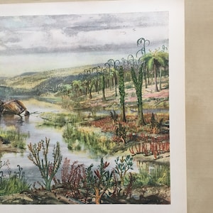 1960 DEVONIAN PERIOD LANDSCAPE Print Prehistoric Print Paleoart ...