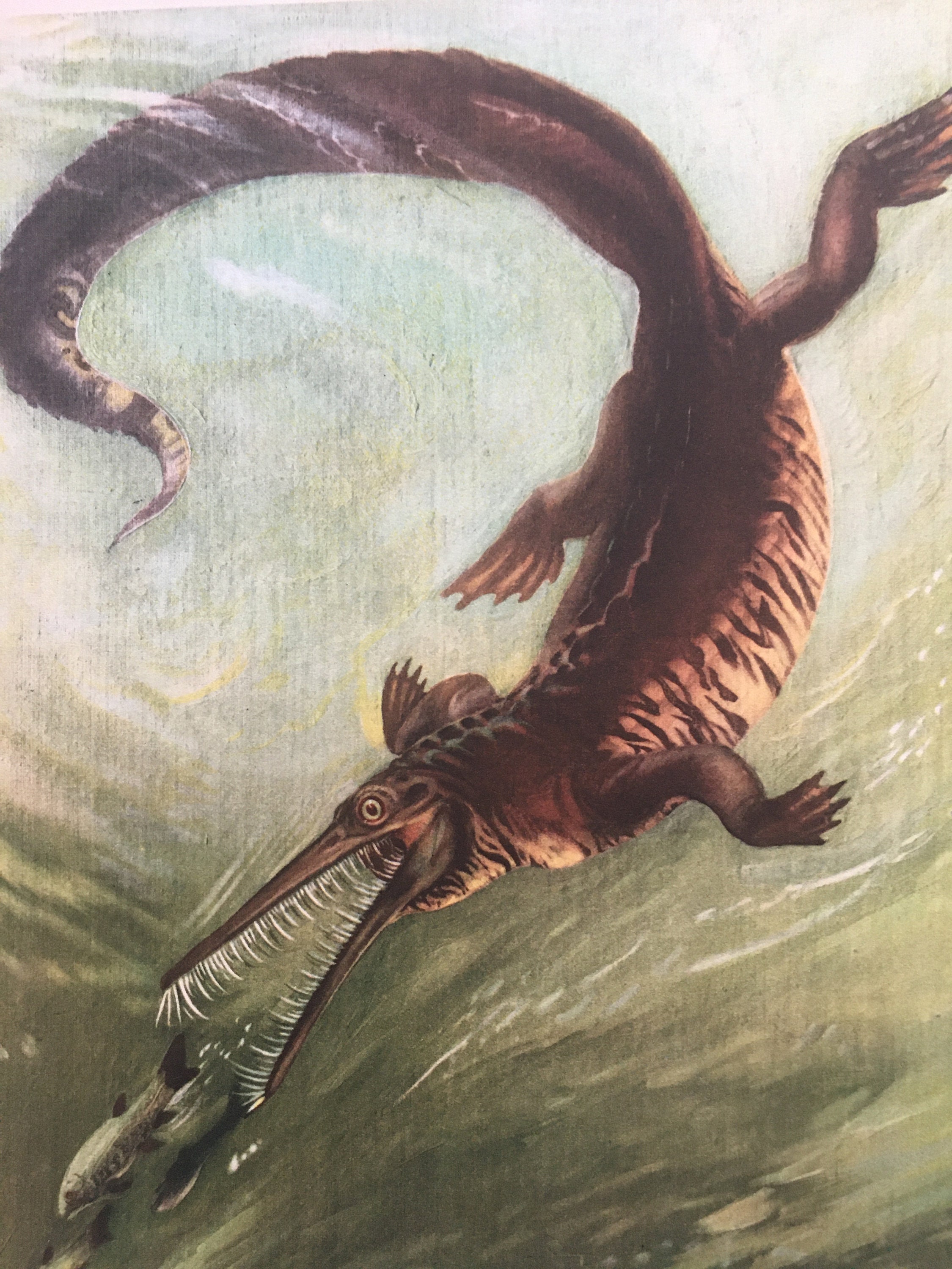 1960 MESOSAURUS Print Prehistoric Animals Print Paleoart - Etsy