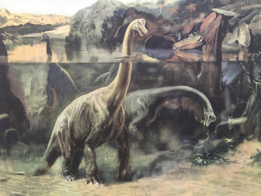 1960 BRACHIOSAURUS DINOSAUR Print - Prehistoric Animals Print ...