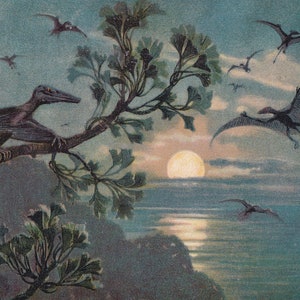 Rare! 1902 PTERODACTYL PTEROSAUR Print - Antique Dinosaur Print ...
