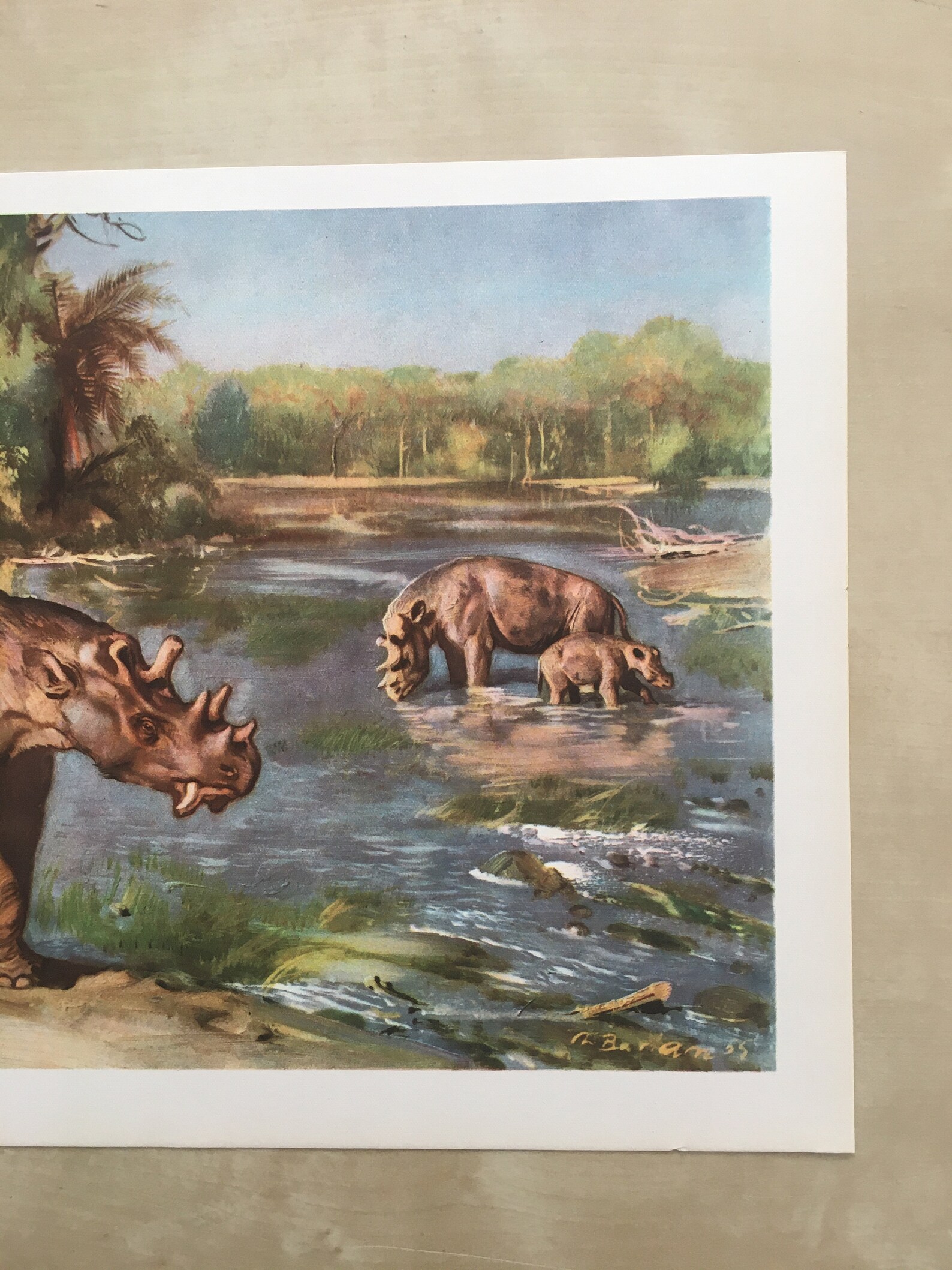 1960 UINTATHERIUM Print Prehistoric Animals Print Paleoart - Etsy