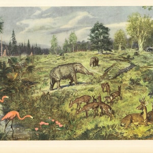 1960 MIOCENE EPOCH Print - Prehistoric Animals Print - Paleoart ...