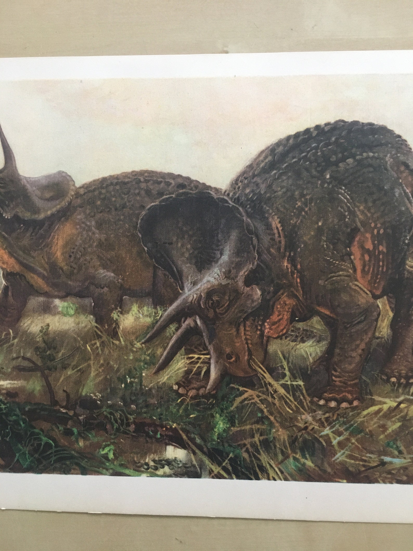 1960 TRICERATOPS DINOSAUR Print - Prehistoric Animals Print - Paleoart ...