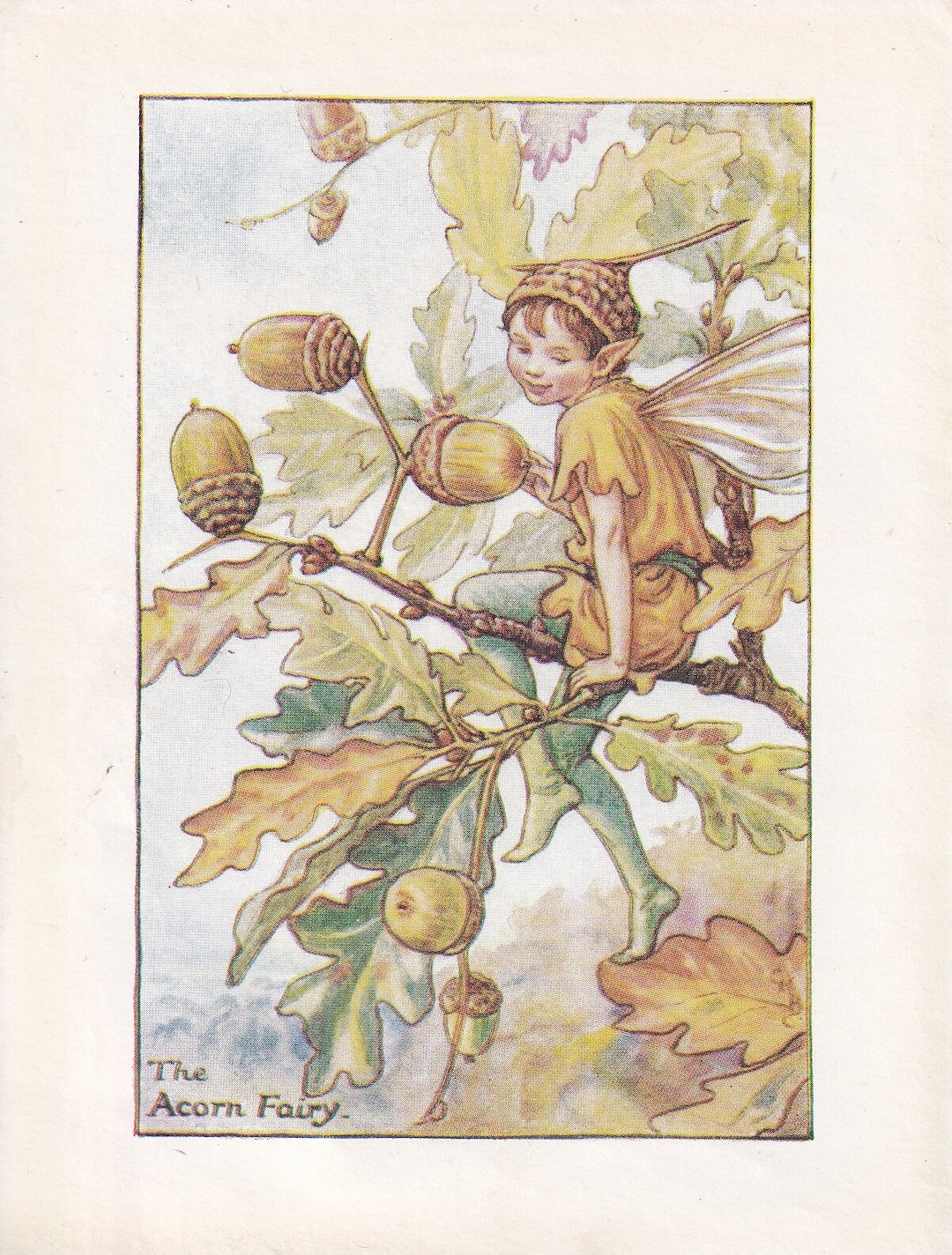 C. 1930 FLOWER FAIRY Print - the Acorn Fairy - Flower Fairy Wall Art ...