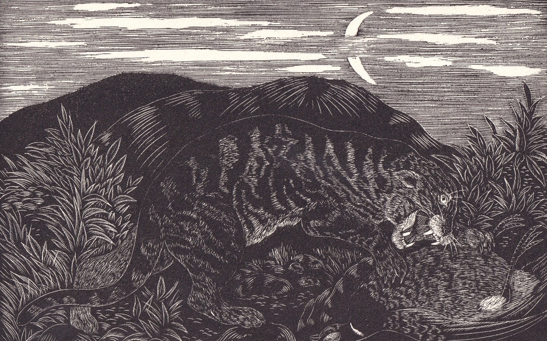 1931 WILD CAT Print Wood Engraving - Wall Art - Zoology Print - Antique ...