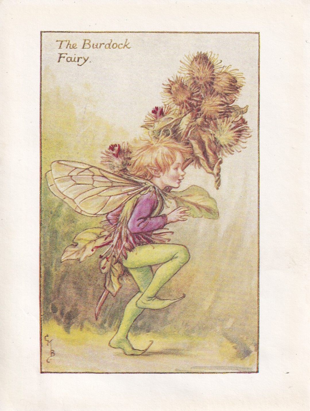 C. 1930 FLOWER FAIRY Print - the Burdock Fairy - Flower Fairy Wall Art ...
