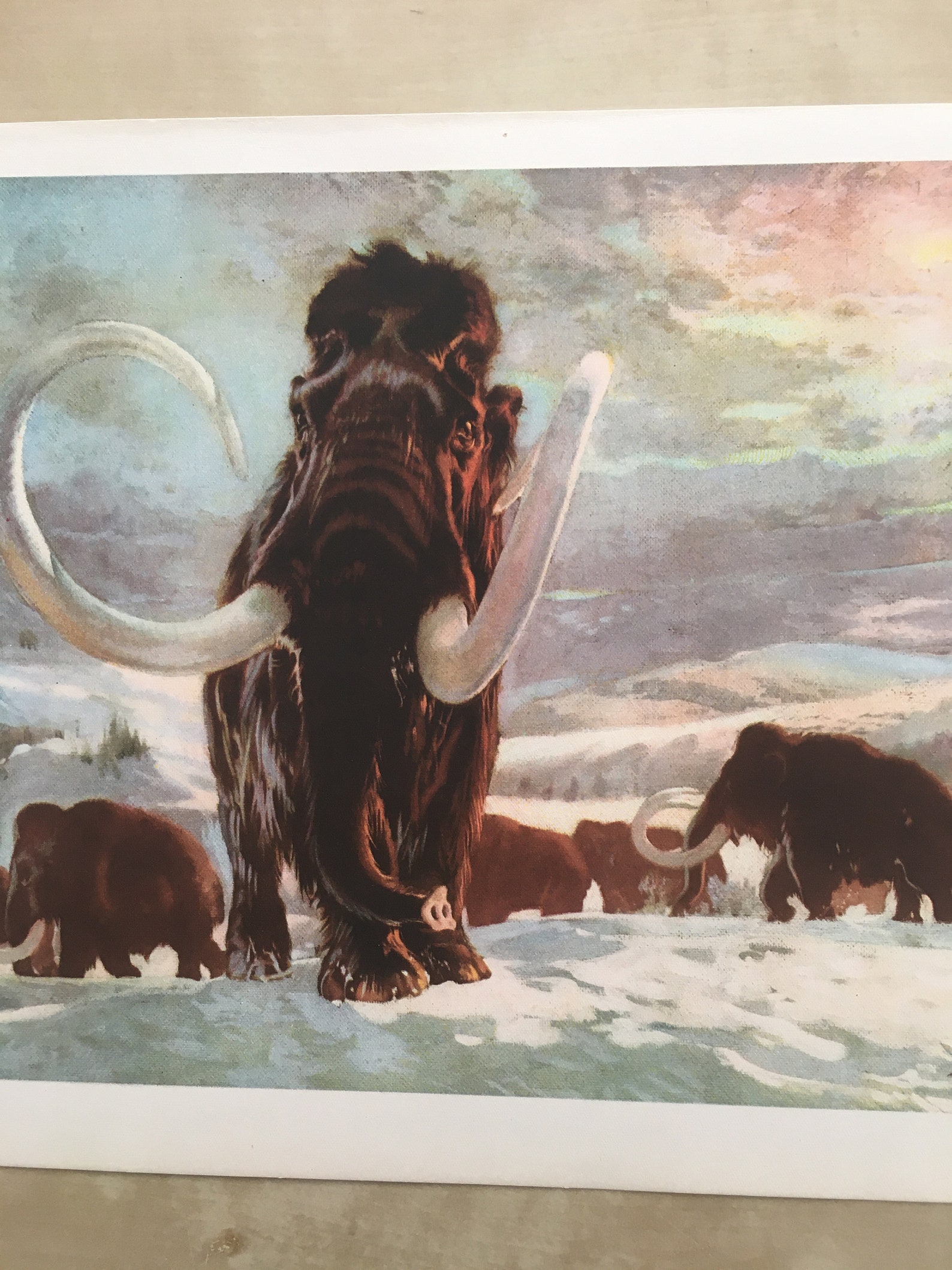 1960 WOOLLY MAMMOTH Print - Prehistoric Animals Print - Paleoart ...