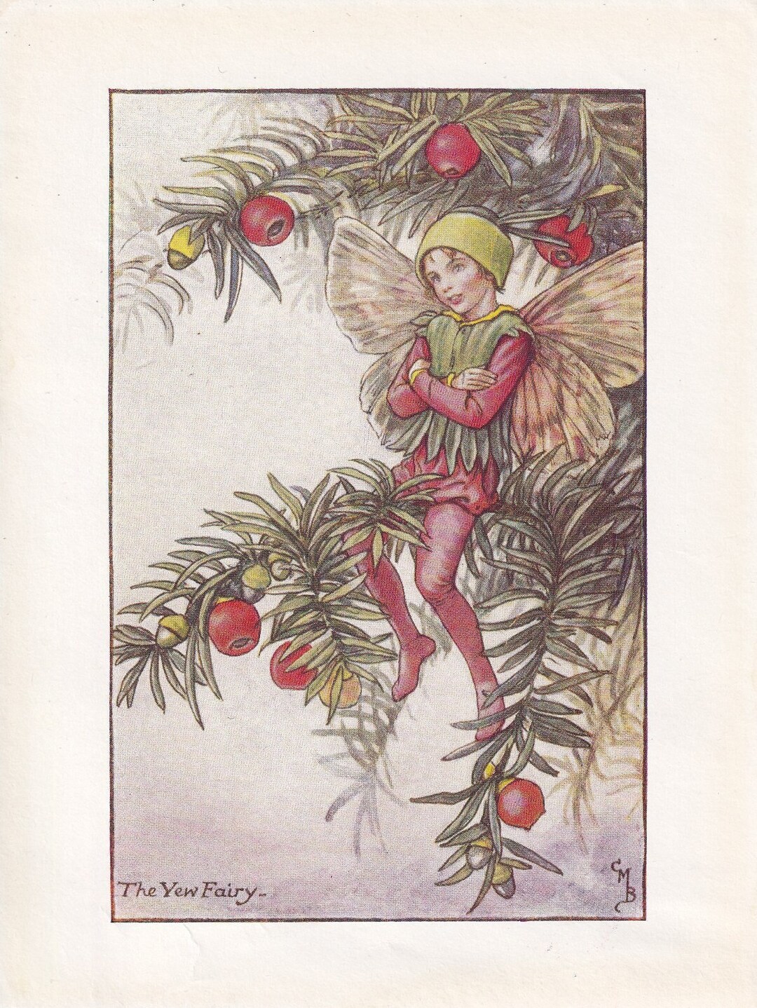 C. 1930 FLOWER FAIRY Print - the Yew Fairy - Flower Fairy Wall Art ...