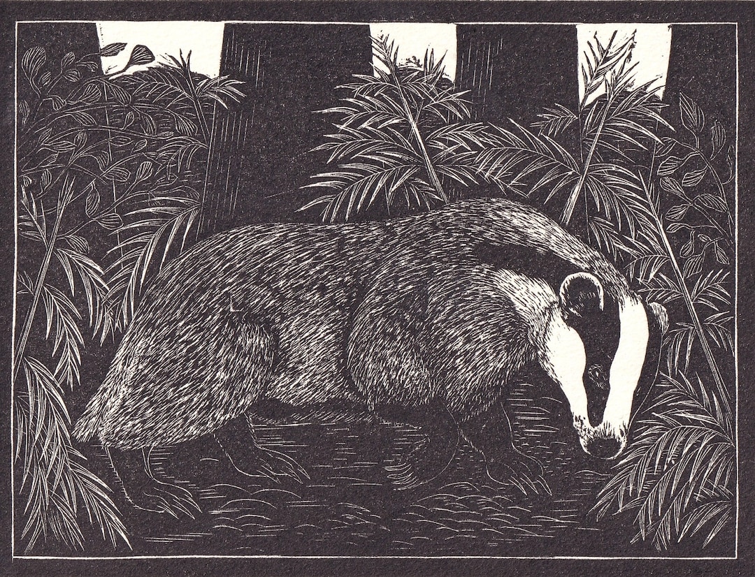 1931 BADGER Print Wood Engraving - Badger Wall Art - Antique Animal ...
