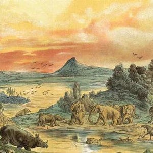 1878 Large PREHISTORIC ANIMALS Print - Paleogene Period - Antique ...